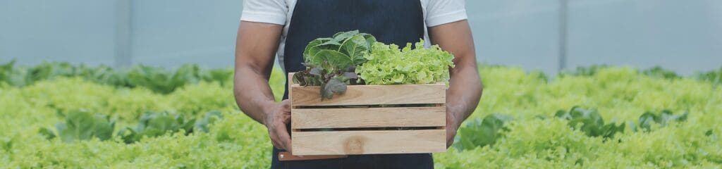 Agri-Food Pilot Program | ICAN Immigration Law